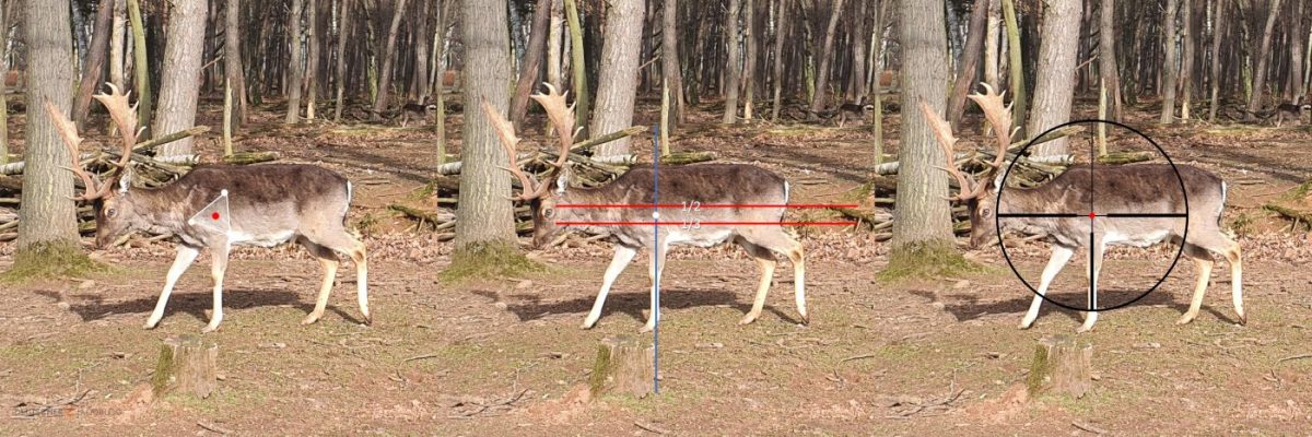 Der perfekte Schuss - deutscher-jagdblog.de
