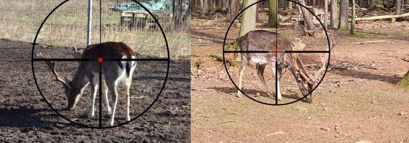 Der perfekte Schuss - deutscher-jagdblog.de